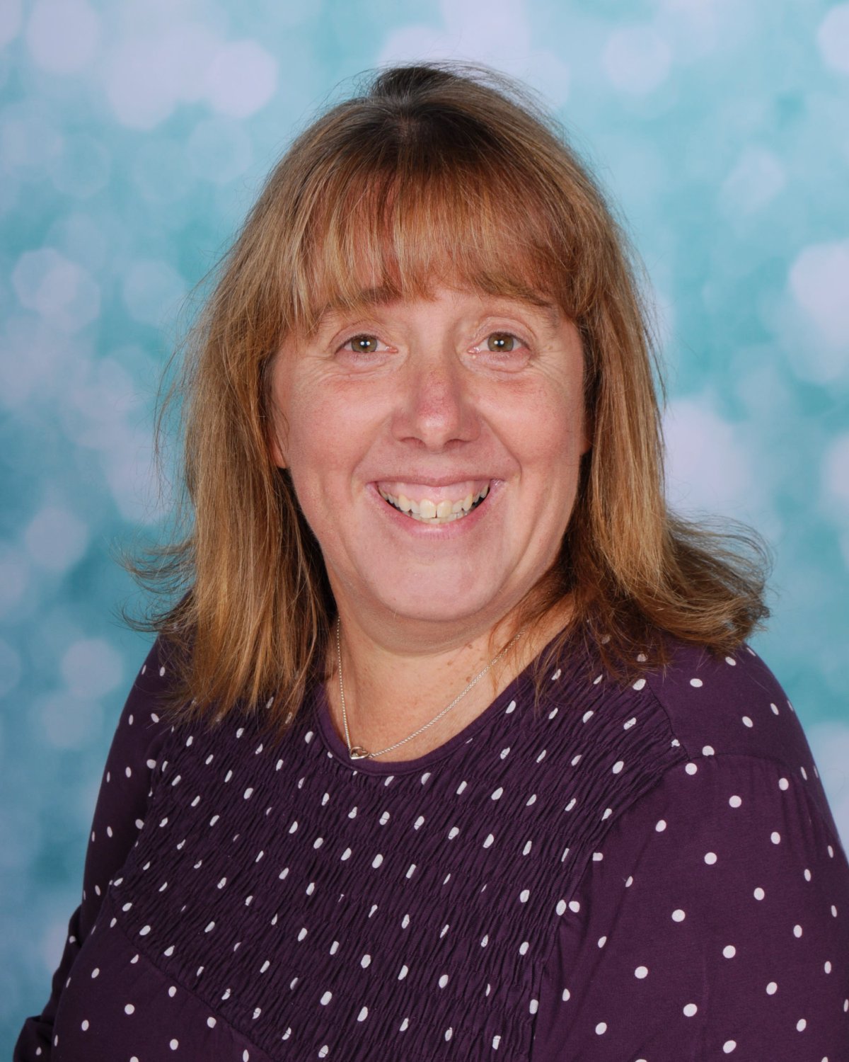 Boringdon Primary School - History